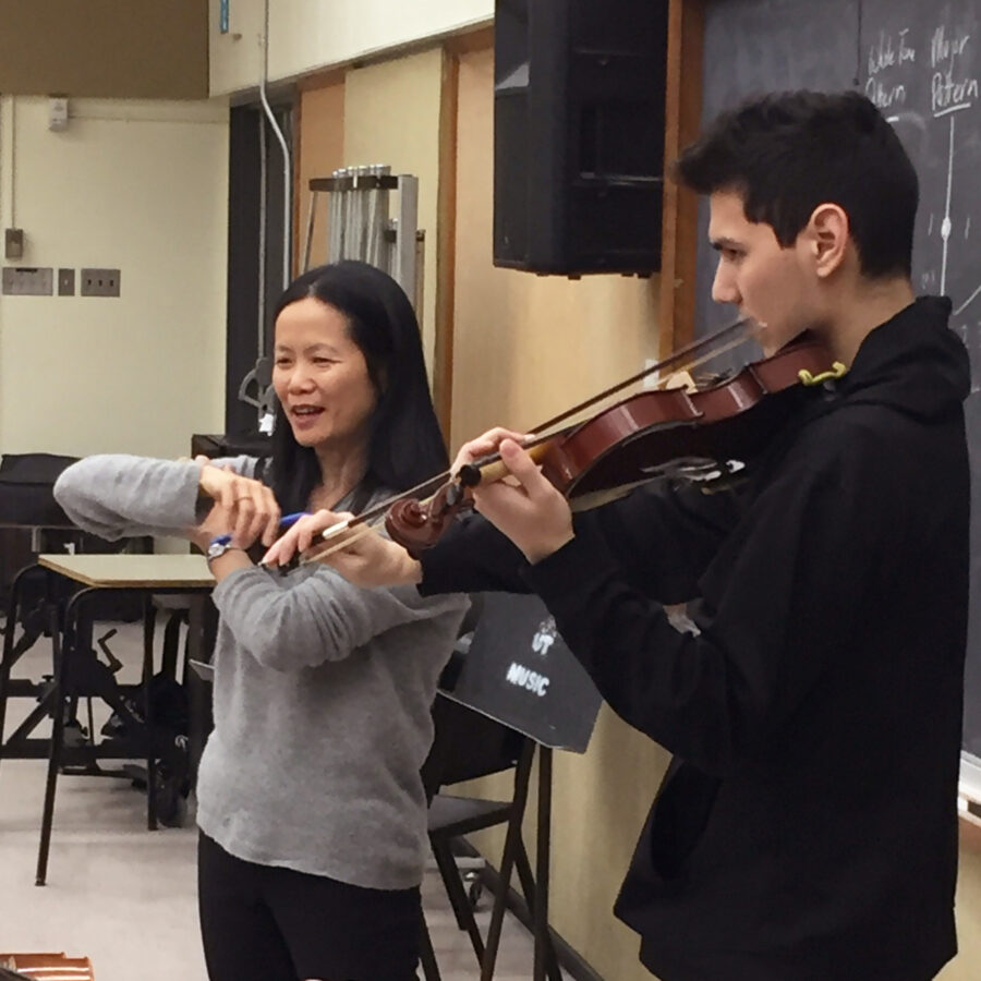 Book Professional Development - Smart String Teacher